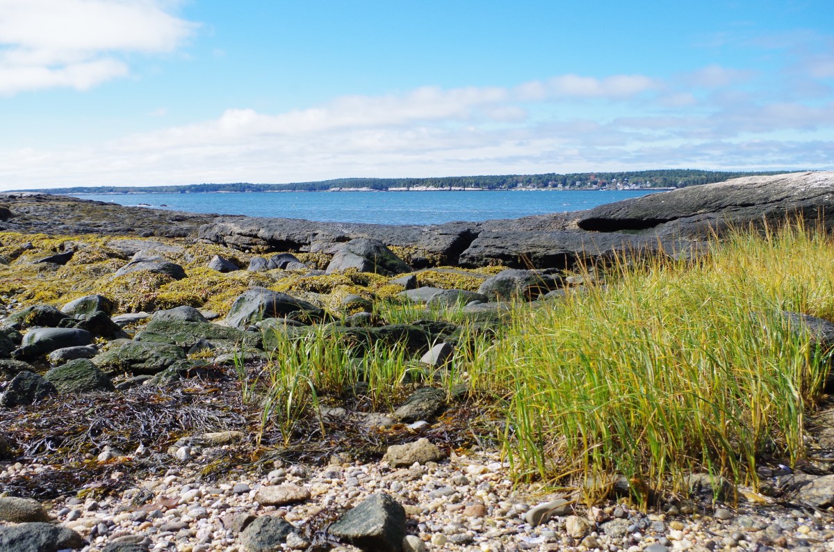 Cultivating wonder the Rachel Carson way – Catherine Schmitt