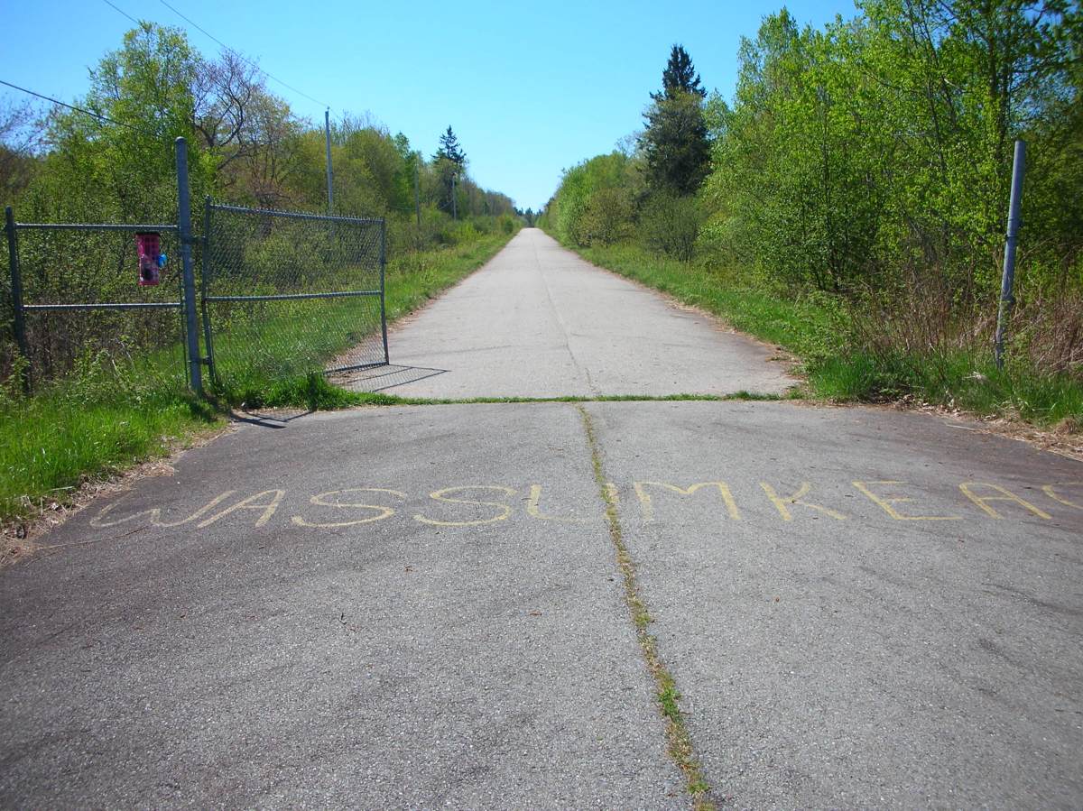 Sears Island, Still and Again – Catherine Schmitt